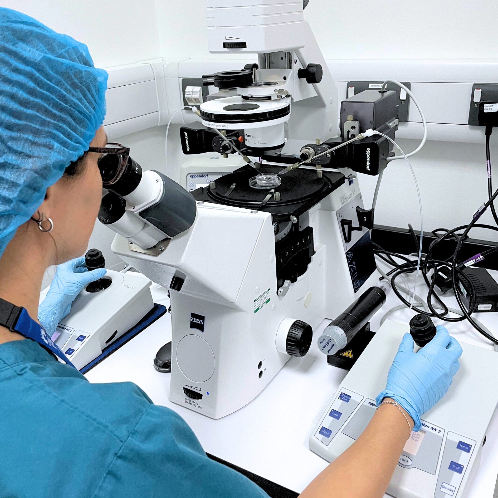 Genome Editing And Mouse Models | Cancer Research UK Manchester Institute